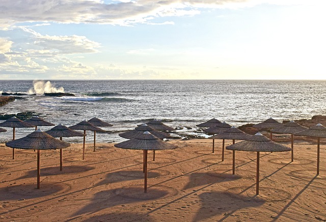 20,000+ Free Empty Beach & Nature Photos - Pixabay