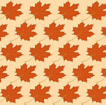 10+ Free Forest Texture & Texture Vectors - Pixabay