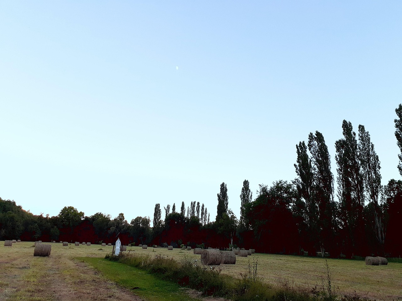 Heaven Nature Tree - Free photo on Pixabay - Pixabay