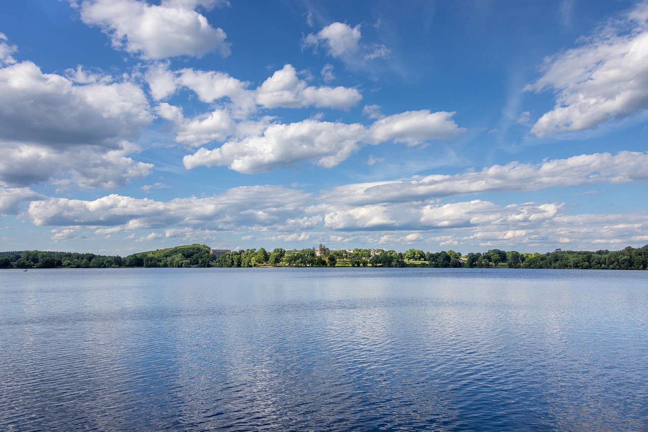 Lake Forest Trees - Free photo on Pixabay - Pixabay