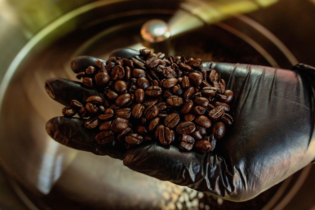 Coffee Beans Seed - Free photo on Pixabay