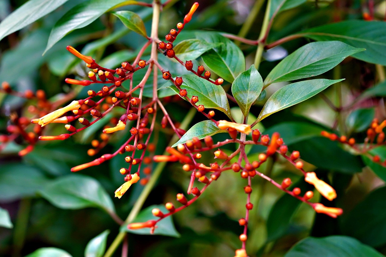 Bunga Tanaman Flora - Foto gratis di Pixabay - Pixabay