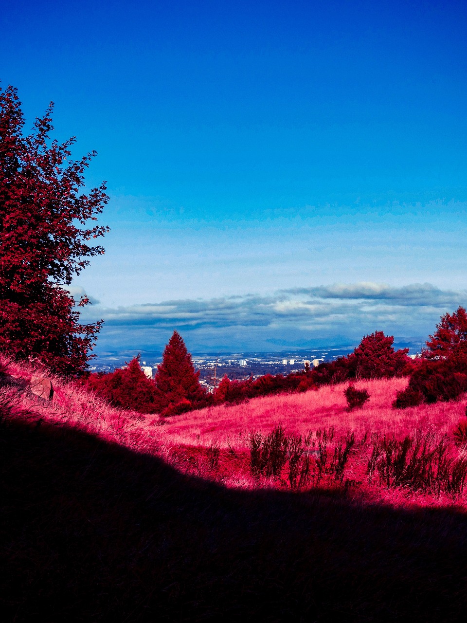 80 beautiful photo results - Pixabay