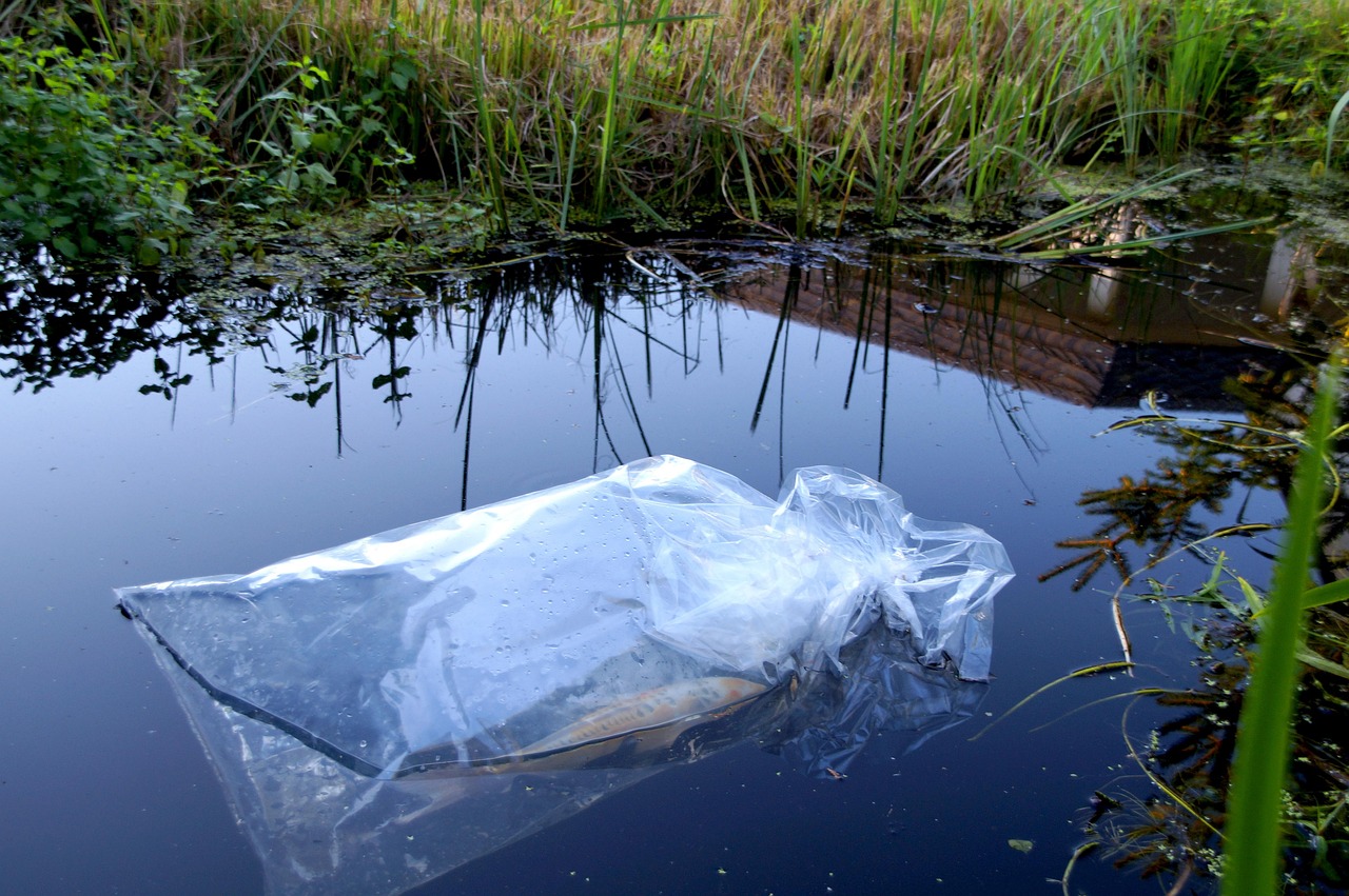 Garden Pond Fish Bag Adjust - Free photo on Pixabay - Pixabay