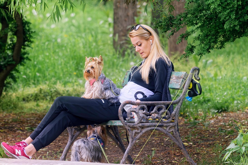 Hunde Mit Frauen