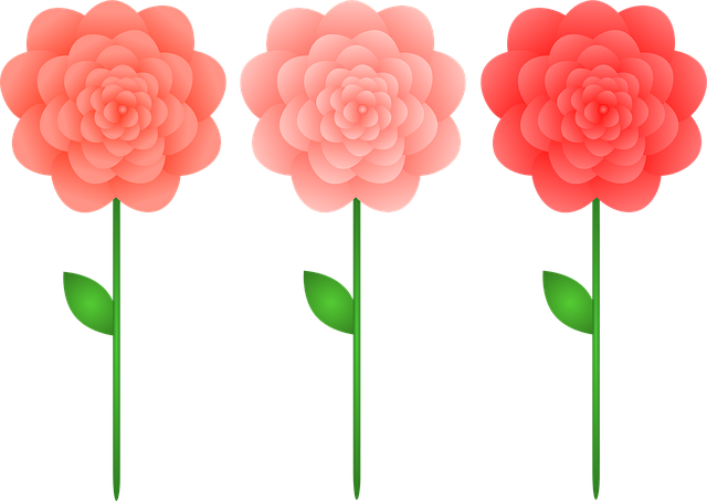 Bunga-Bunga Kelopak Bunga - Gambar vektor gratis di Pixabay