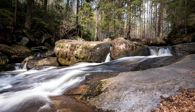 Fleuve Nature Forêt - Photo gratuite sur Pixabay - Pixabay