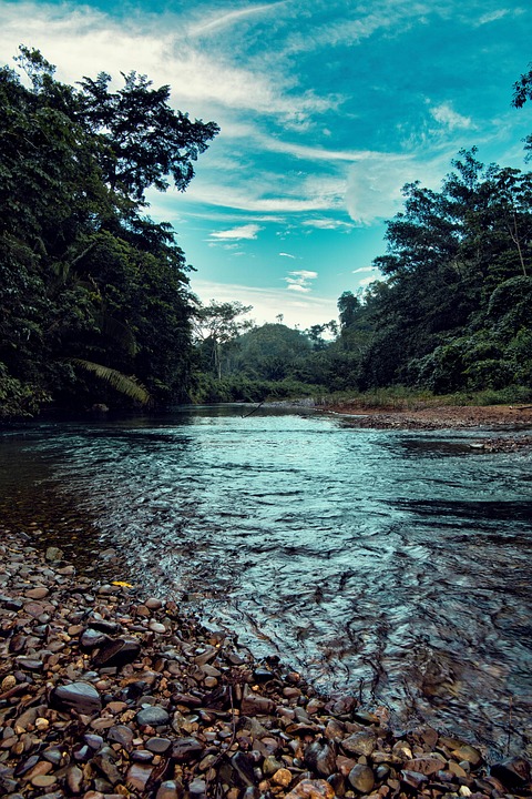 River Stream Nature - Free photo on Pixabay - Pixabay River Stream Nature - Free photo on Pixabay - Pixabay