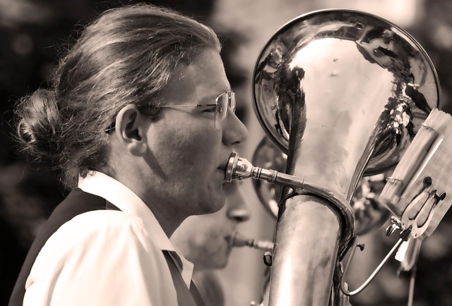 Música Músico Orquesta - Foto gratis en Pixabay - Pixabay