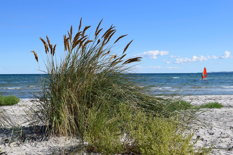 Beach Strand Meer - Kostenloses Foto auf Pixabay - Pixabay
