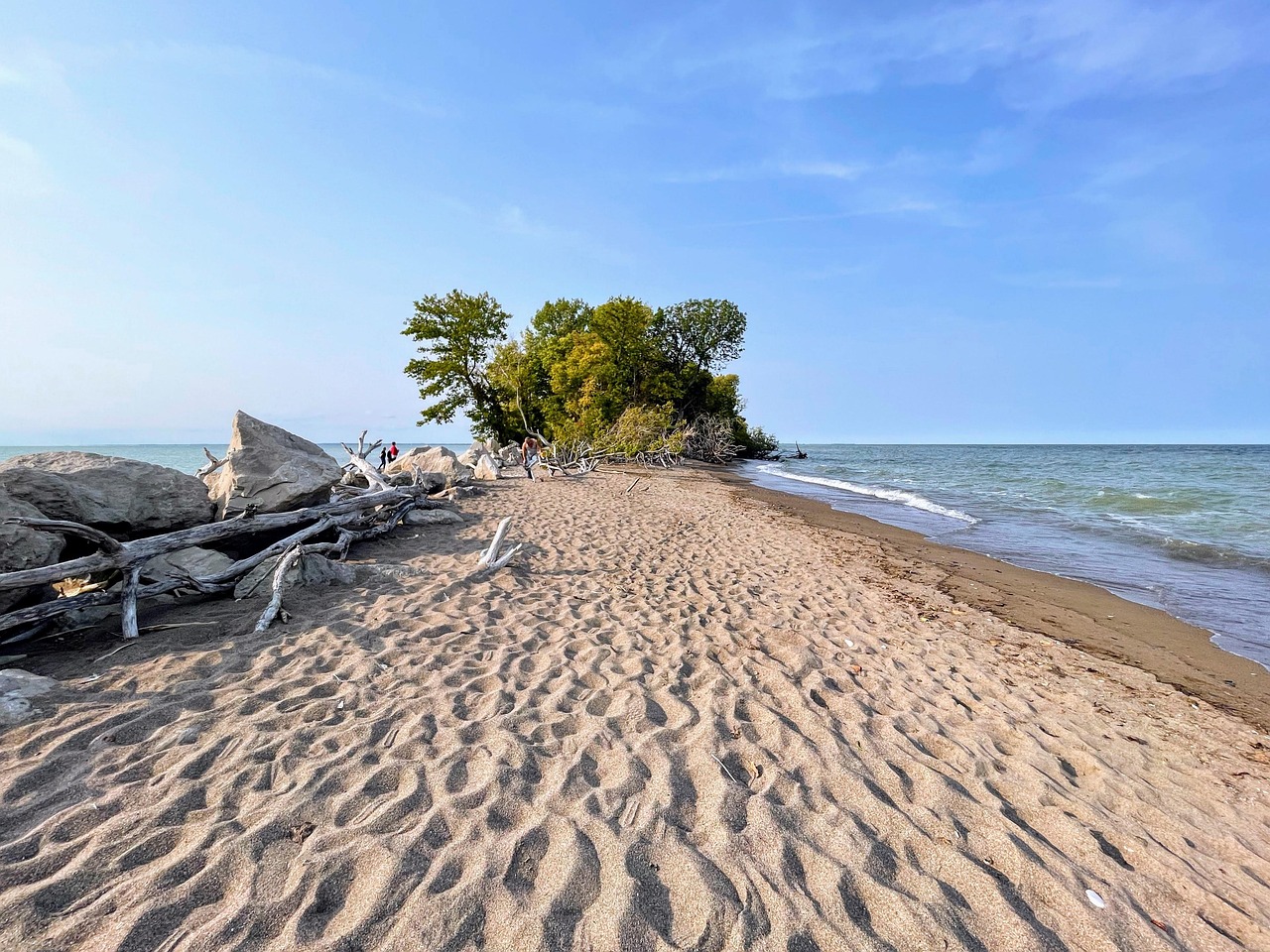 Bois Flotté Sable Plage Des - Photo gratuite sur Pixabay - Pixabay