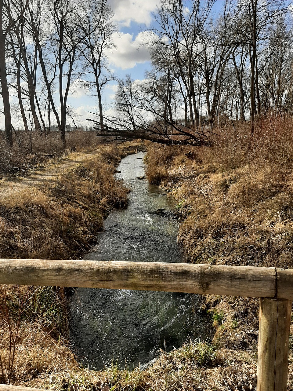 Arroyo Primavera Agua - Foto gratis en Pixabay - Pixabay