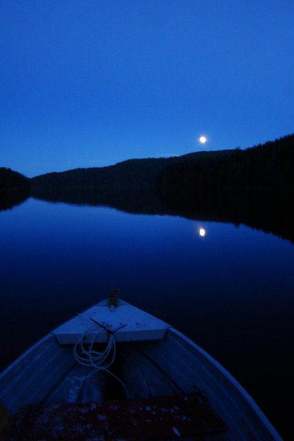 Moonlight Fishing Night Lake - Free photo on Pixabay - Pixabay