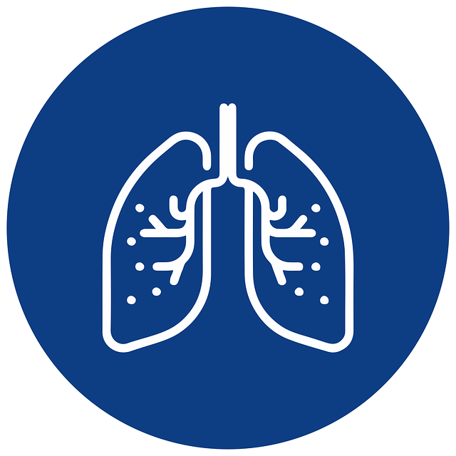 Atendimento De Pneumologia - Gráfico vetorial grátis no Pixabay - Pixabay
