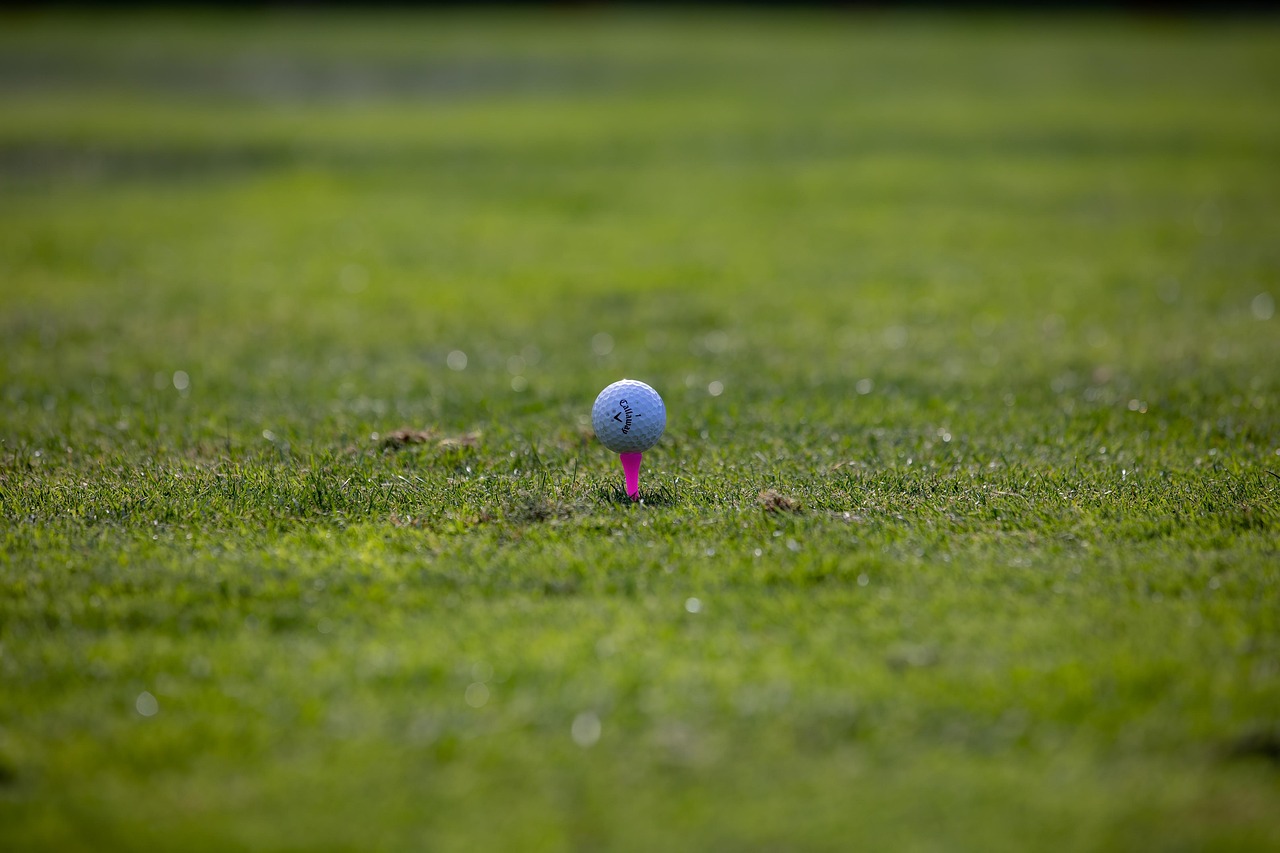 100+ Free Golf Flag & Golf Images - Pixabay