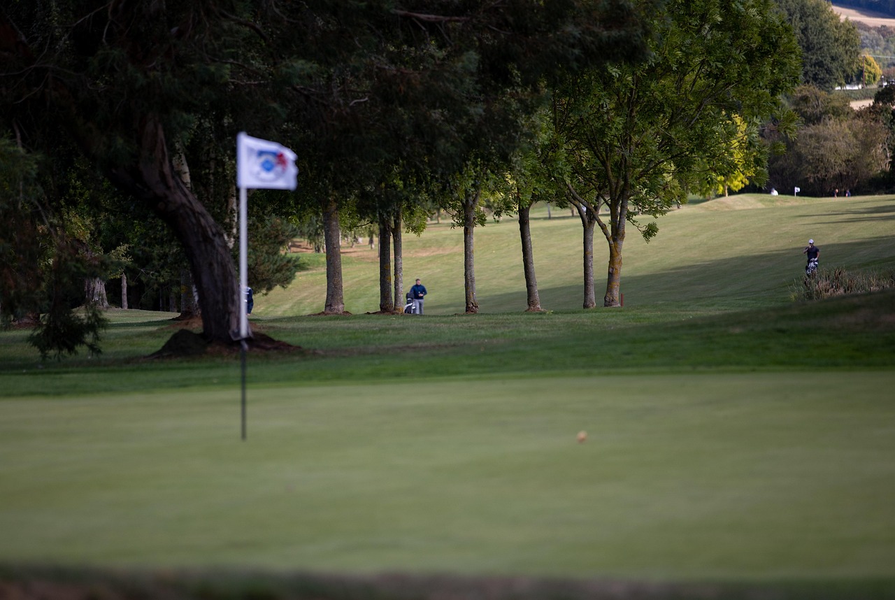 Golf Flag Golfing Course - Free photo on Pixabay