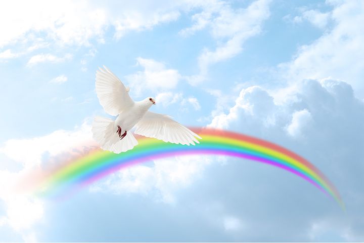 700+ Free Dove Of Peace & Dove Images - Pixabay