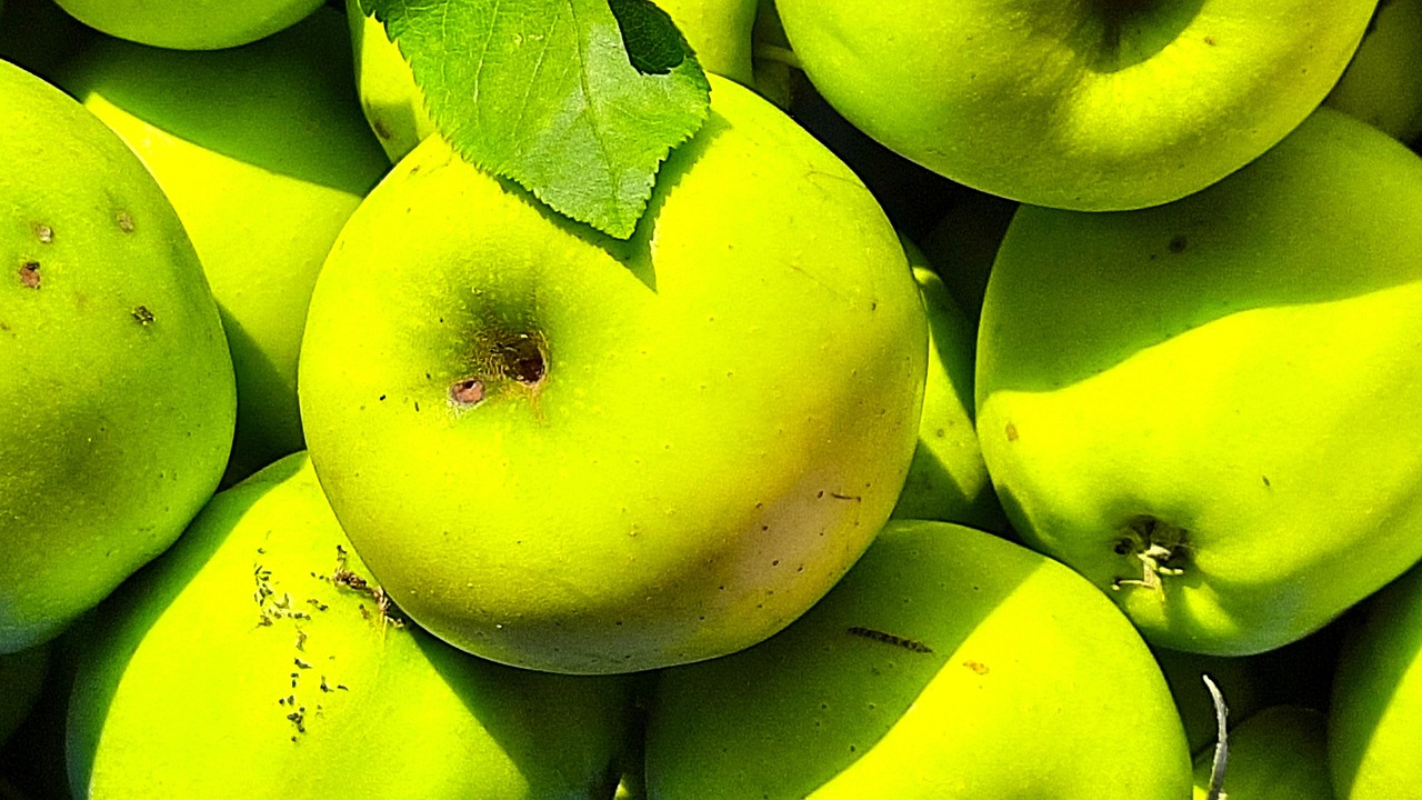 Apples Green Nature - Free photo on Pixabay - Pixabay