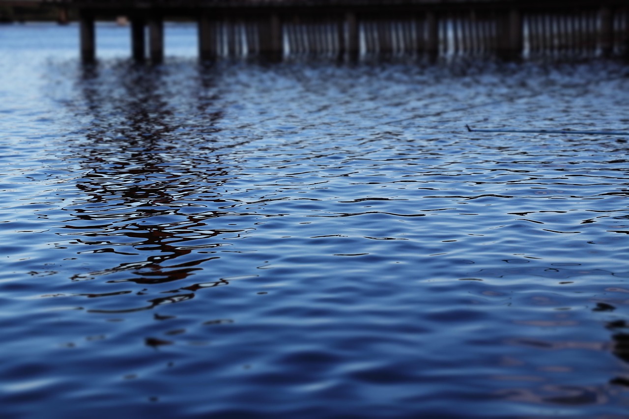Lake Water Nature - Free photo on Pixabay - Pixabay