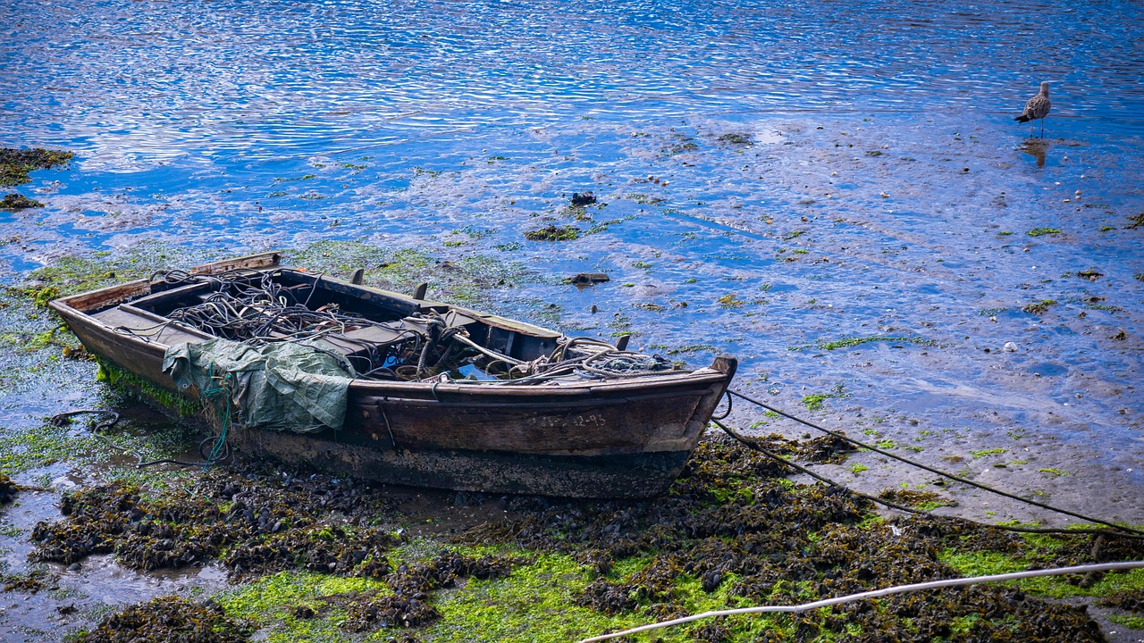 Sea Boat Ship - Free photo on Pixabay