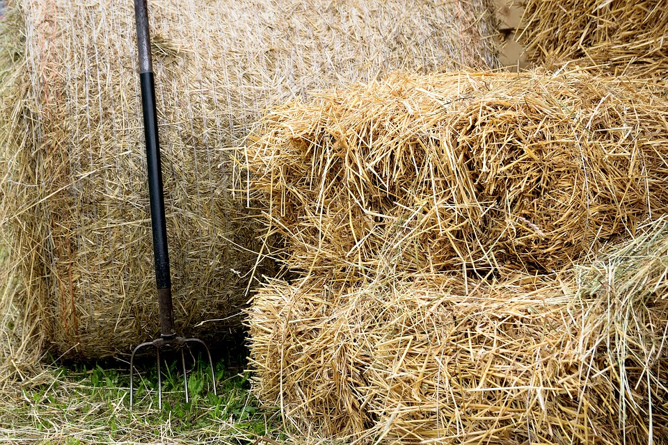 Hay Festival Da Colheita - Foto gratuita no Pixabay - Pixabay