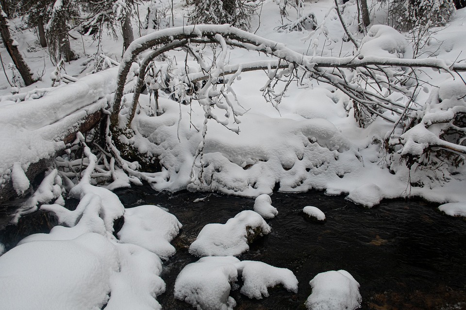 Snow Heavy Winter - Free photo on Pixabay - Pixabay