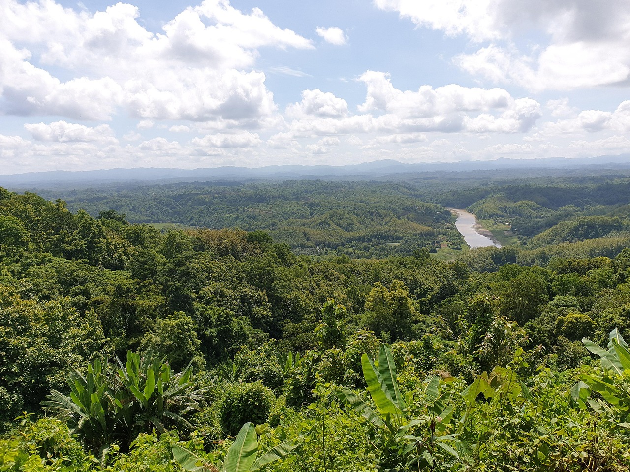 Bangladesh Bandarban Nature - Free photo on Pixabay - Pixabay