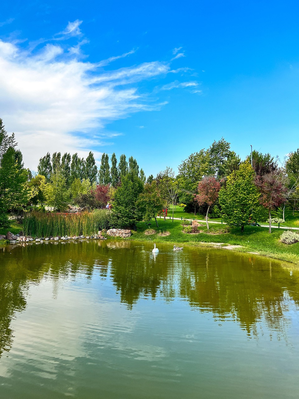 Melihat Alam Eskisehir - Foto gratis di Pixabay - Pixabay