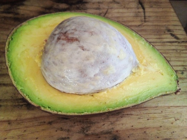 Avocado Pear Fruit - Free photo on Pixabay - Pixabay