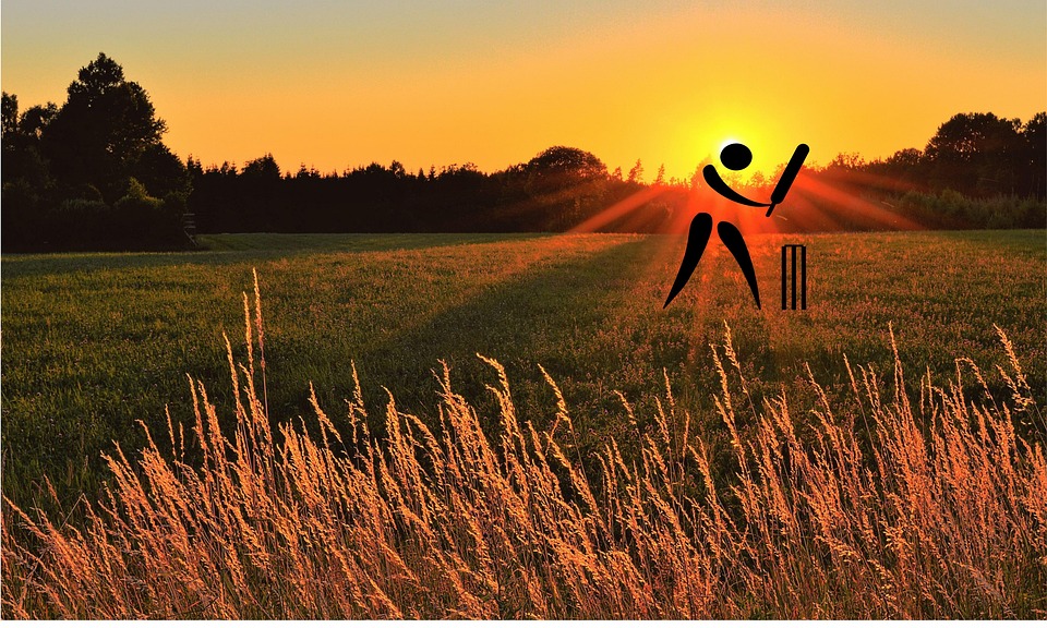 Cricket Sunset - Free photo on Pixabay - Pixabay