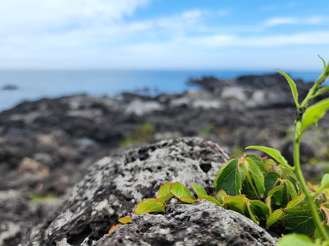 Jeju Island Ocean Water - Free photo on Pixabay - Pixabay