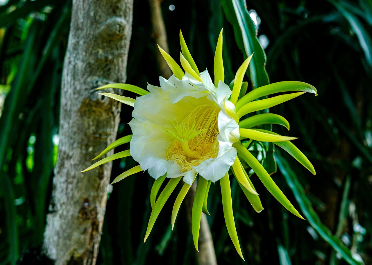 Flower Leaf Landscape Tree - Free photo on Pixabay - Pixabay