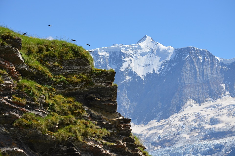Switzerland Mountains Nature - Free photo on Pixabay - Pixabay