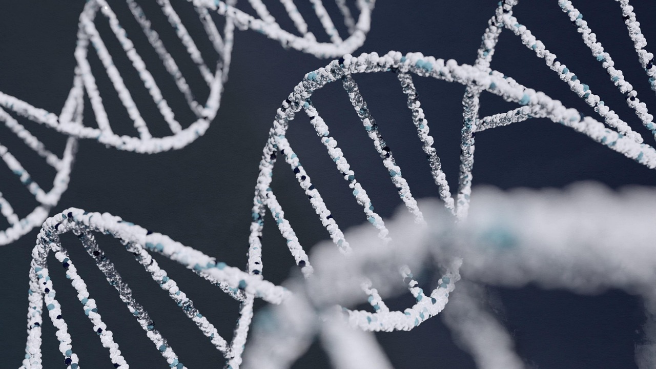Dna Deoxyribonucleic Acid Biology - Free photo on Pixabay
