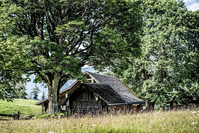 Wooden Hut Trees Landscape - Free photo on Pixabay