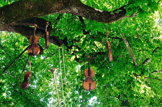 Musical Instruments Violins Tree - Free photo on Pixabay