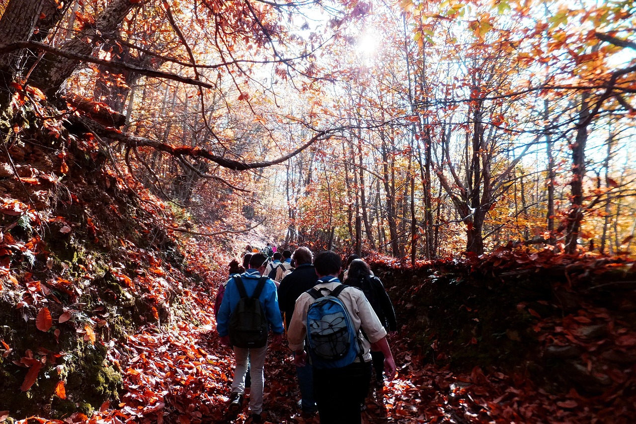 1+ Free Agiasos & Forest Images - Pixabay