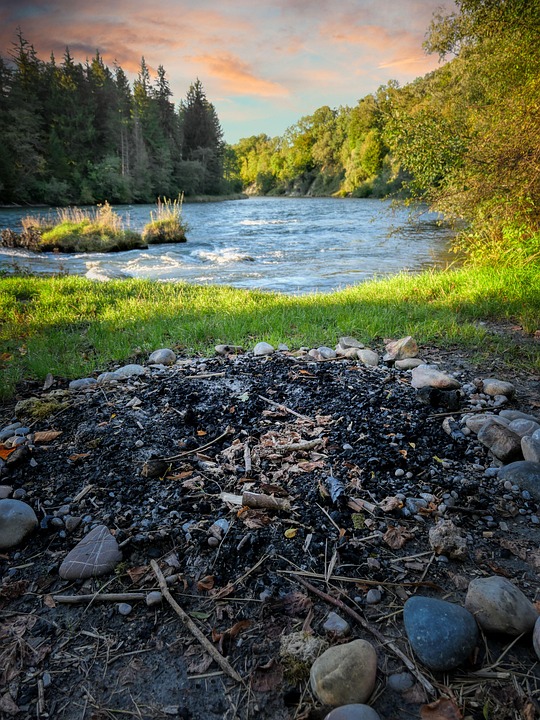 Riverbank Forest Sunset - Free photo on Pixabay