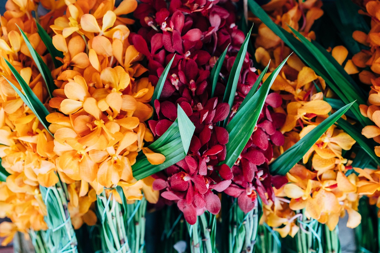 Flower Plant Florist - Free photo on Pixabay - Pixabay