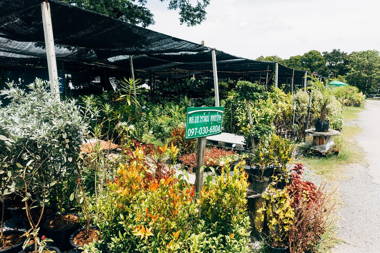 Flower Plant Florist - Free photo on Pixabay - Pixabay