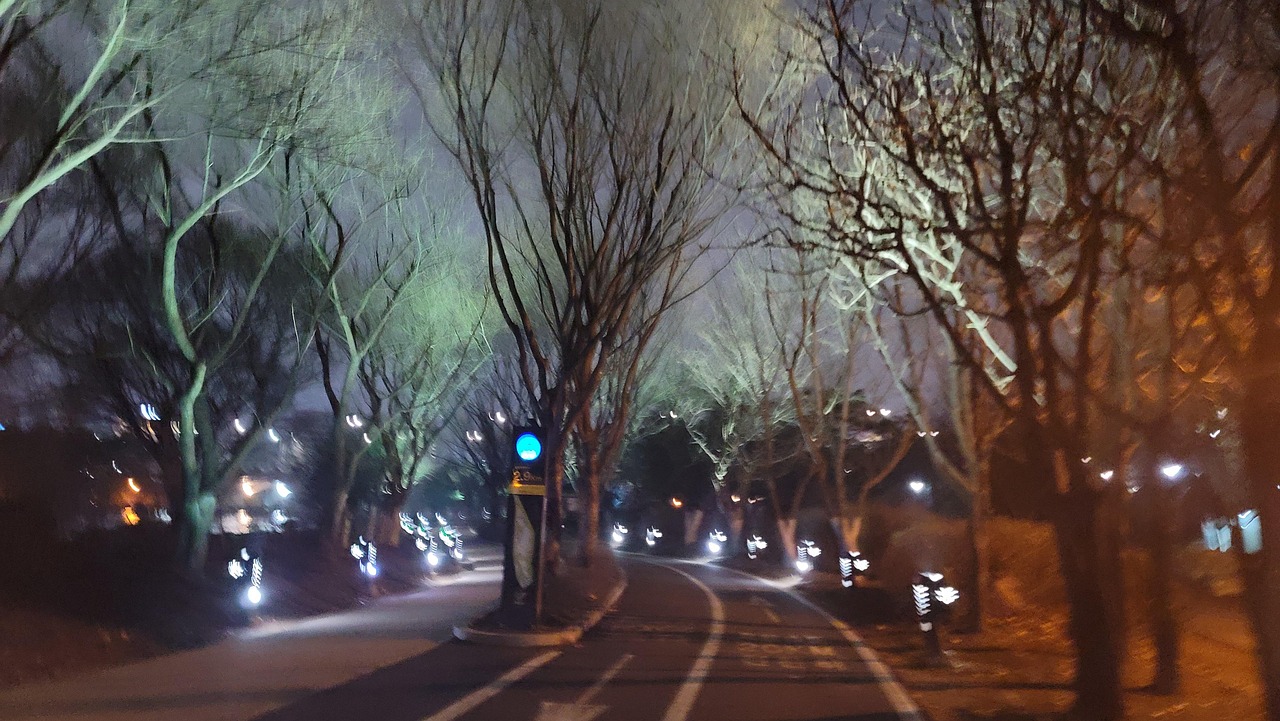 Night View In The Woods Road - Free photo on Pixabay - Pixabay