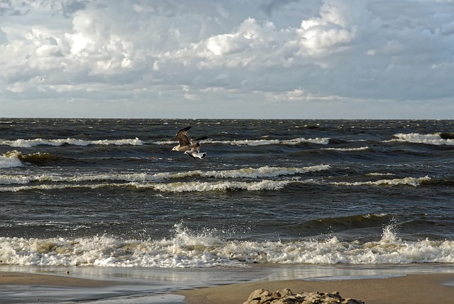 Morze Bałtyckie Baltic Sea - Free photo on Pixabay - Pixabay