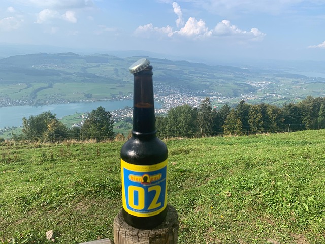 Beer Outlook Lake Lucerne Region - Free photo on Pixabay - Pixabay