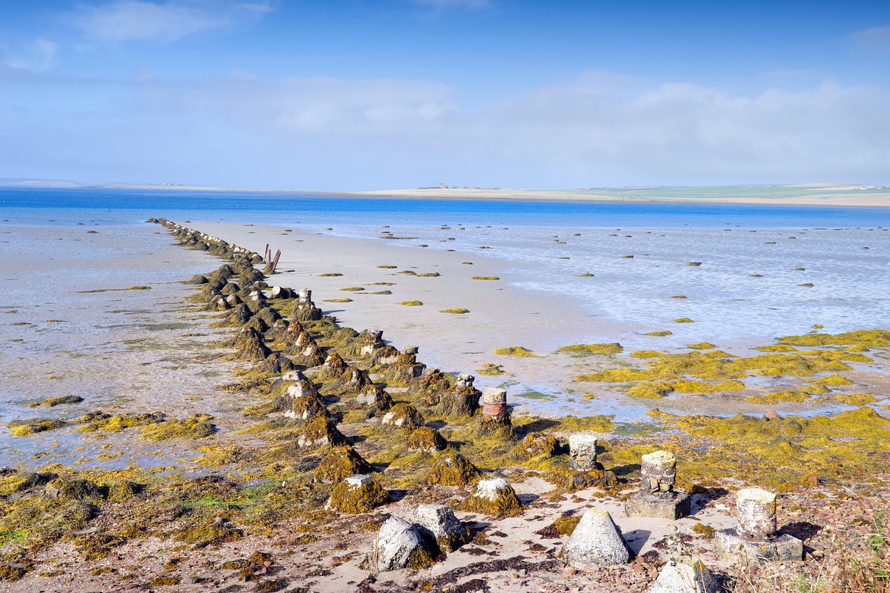 200+ Free Low Coast & Nature Images - Pixabay
