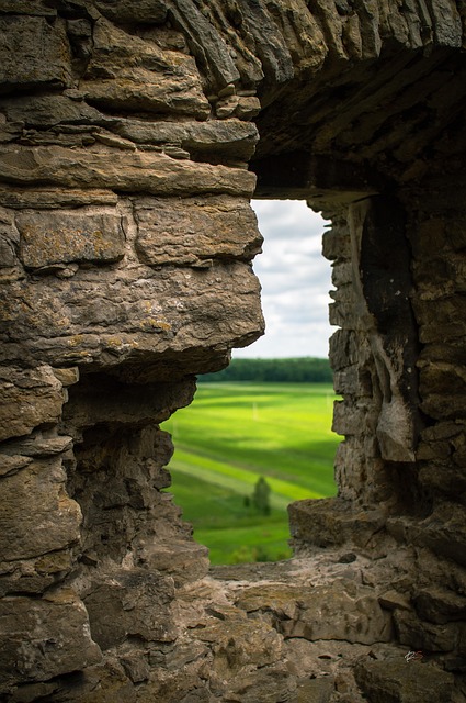 60,000+ Free Window & Nature Images - Pixabay