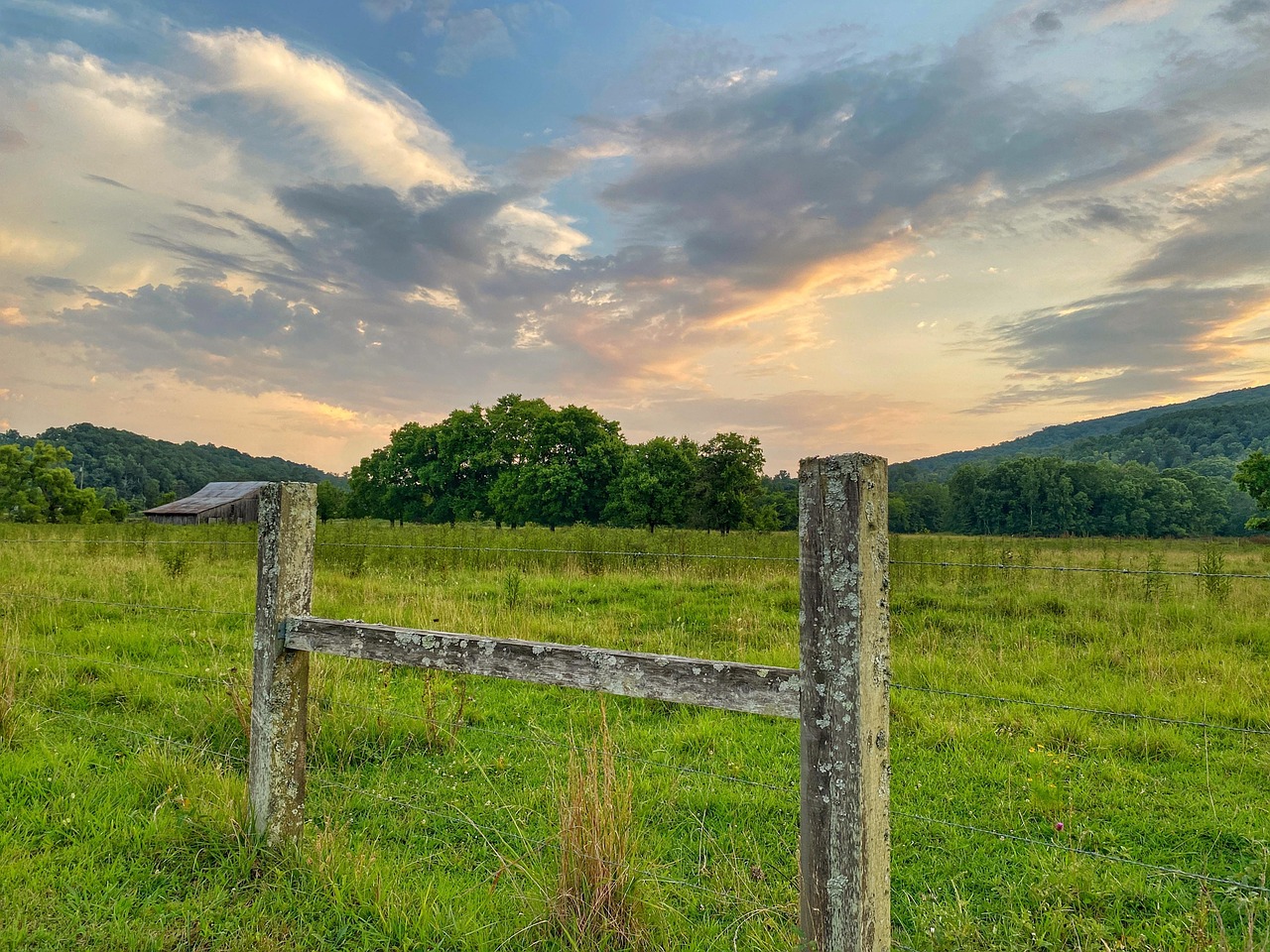 Landscape Grass Nature - Free photo on Pixabay - Pixabay