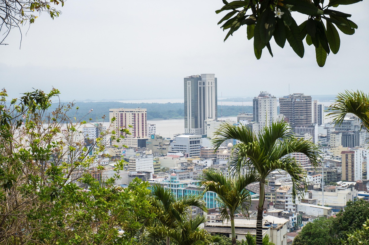 City Guayaquil Ecuador - Free photo on Pixabay - Pixabay