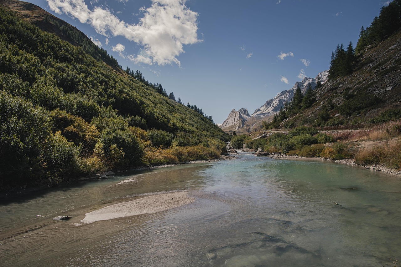 Fleuve Des Arbres Montagnes - Photo gratuite sur Pixabay - Pixabay