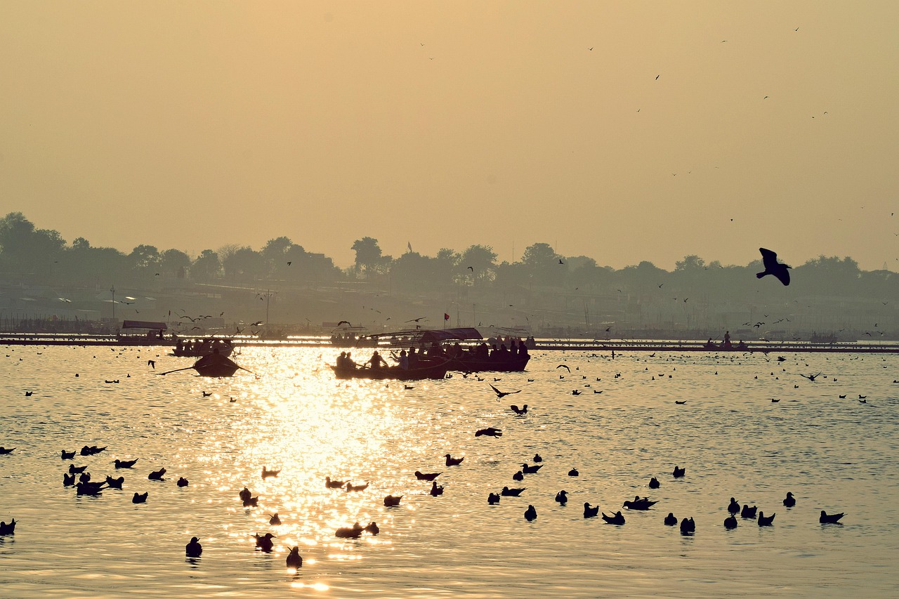 Sunset Lake Birds - Free photo on Pixabay - Pixabay