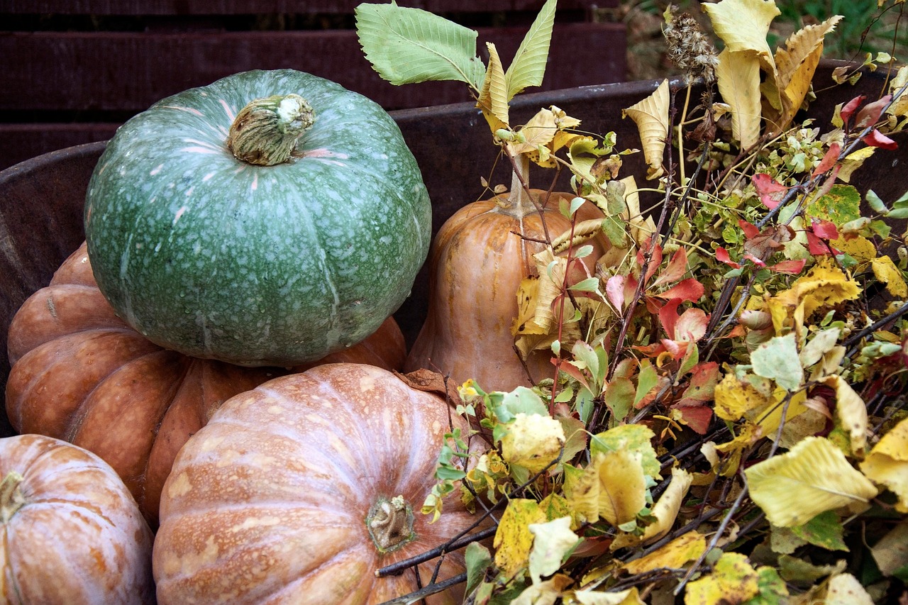 Citrouille Biologique Automne - Photo gratuite sur Pixabay - Pixabay